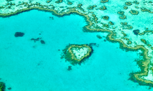 Indigenous rangers get $1.8 million to help save the Great Barrier Reef